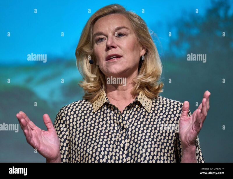 Der Dolchstoß gegen Mark Rutte von Sigrid Kaag – Hetzel Media